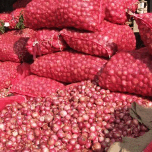 MWONGOZOWA KILIMO BORA CHA MAHINDI – Holly Green Agric Group Limited